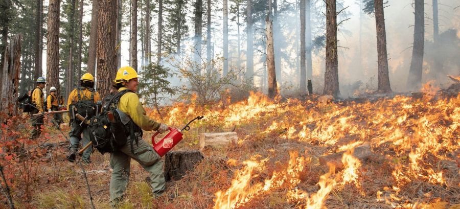 FireScore.AI – AI-Powered Wildfire Risk & Compliance Mapping